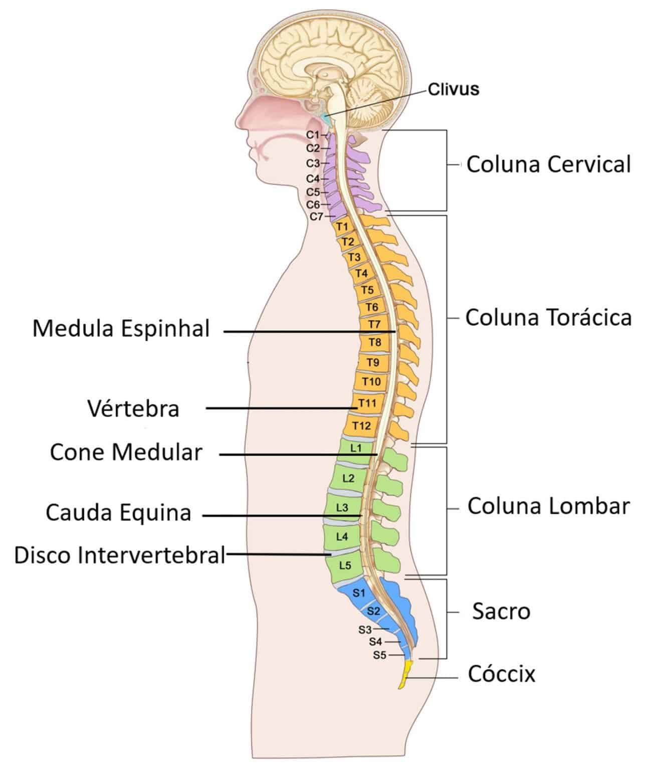 Cirurgião de Coluna em São Paulo | Dr Ricardo Teixeira